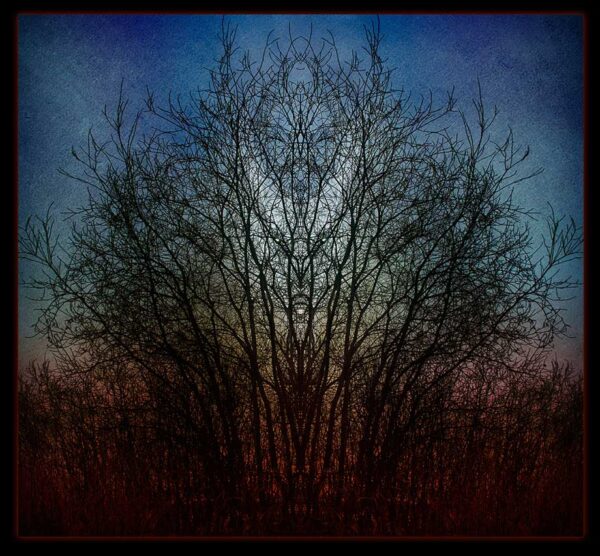 alexandra morrison art
